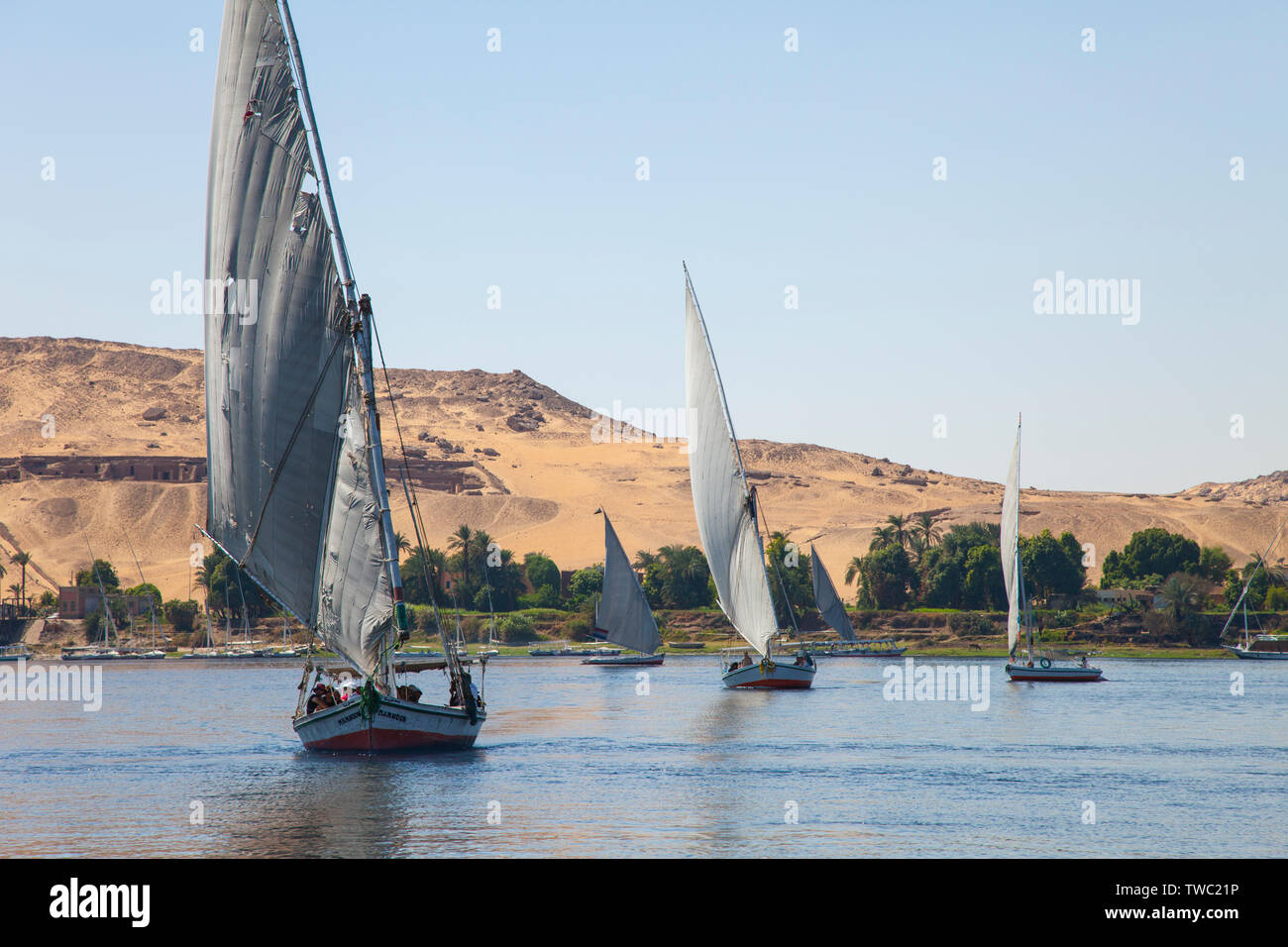 Faluca del nilo hi-res stock photography and images - Alamy