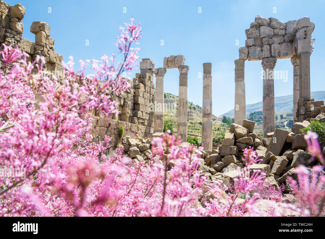 Temple of Adonis, Roman ruins, Faqra, Lebanon Stock Photo - Alamy