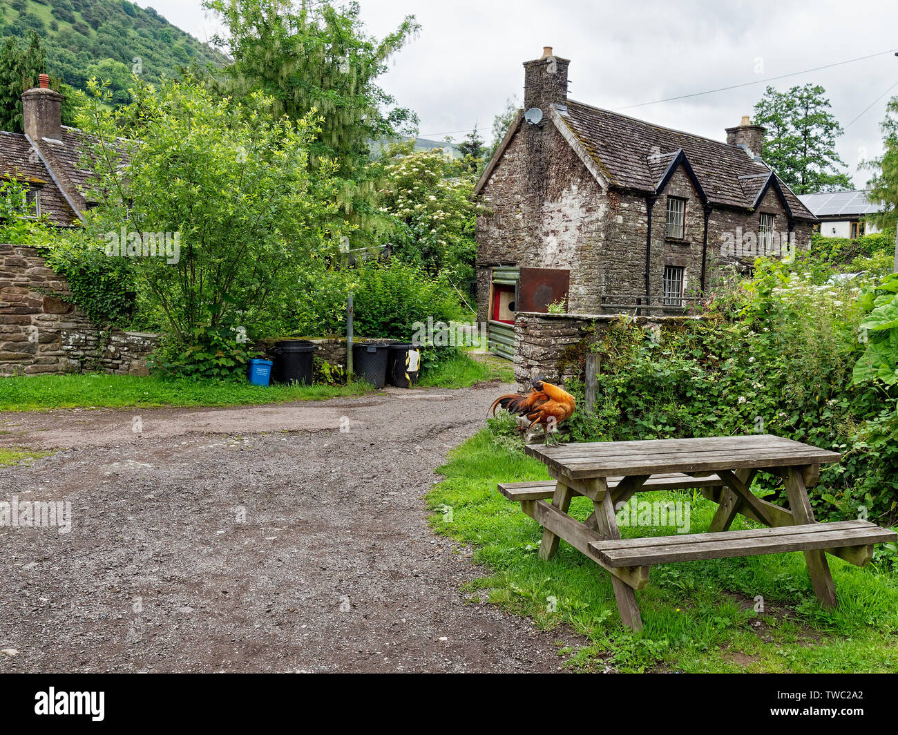 LLanthony Valley, Abergavenny, Wales, UK Stock Photo - Alamy