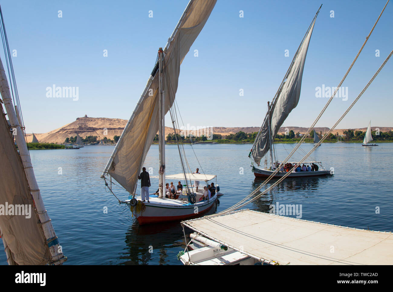Faluca, Assuan, Valle del Nilo, Egipto Stock Photo - Alamy