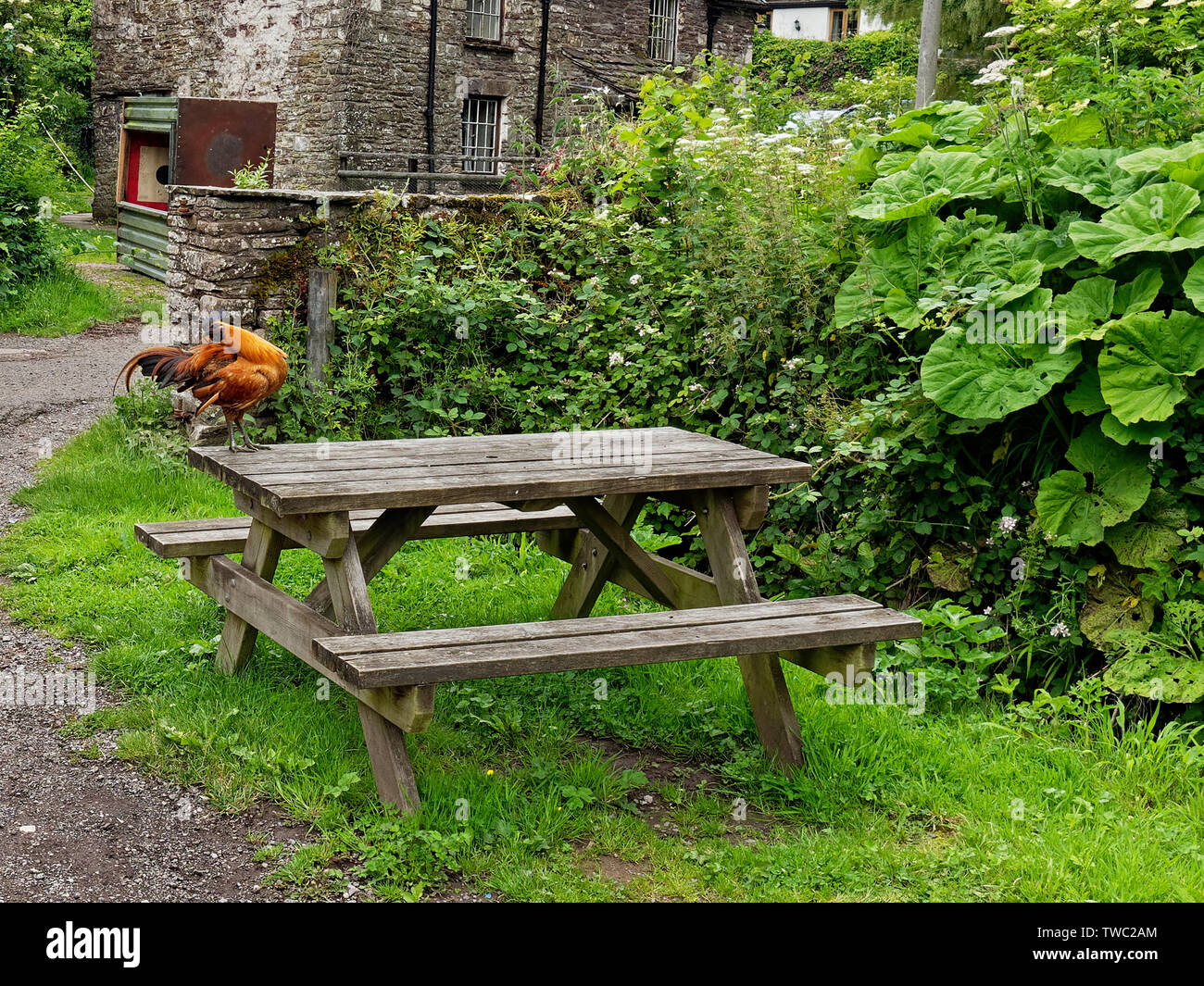 LLanthony Valley, Abergavenny, Wales, UK Stock Photo - Alamy