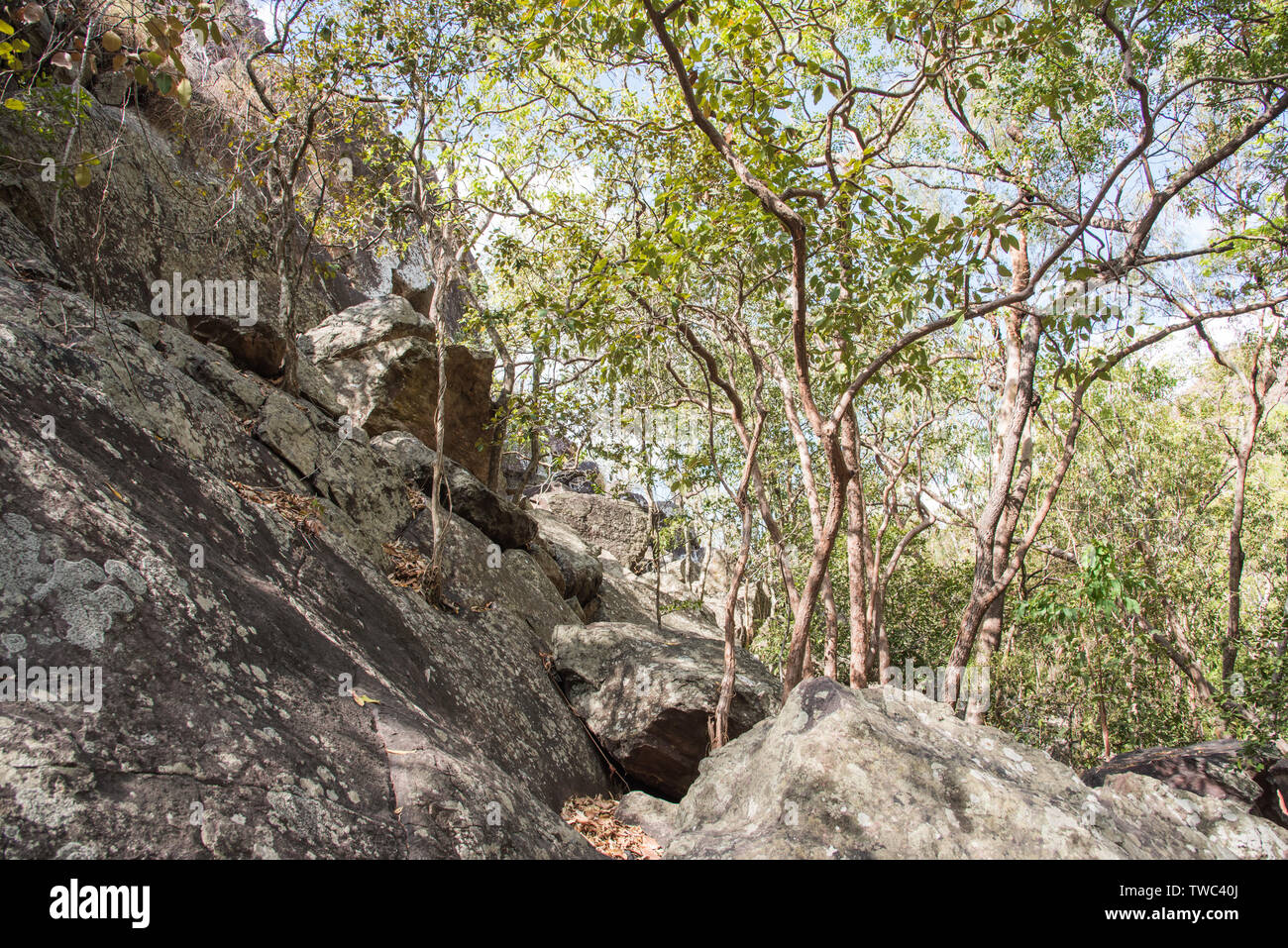 Rugged robin hi-res stock photography and images - Alamy