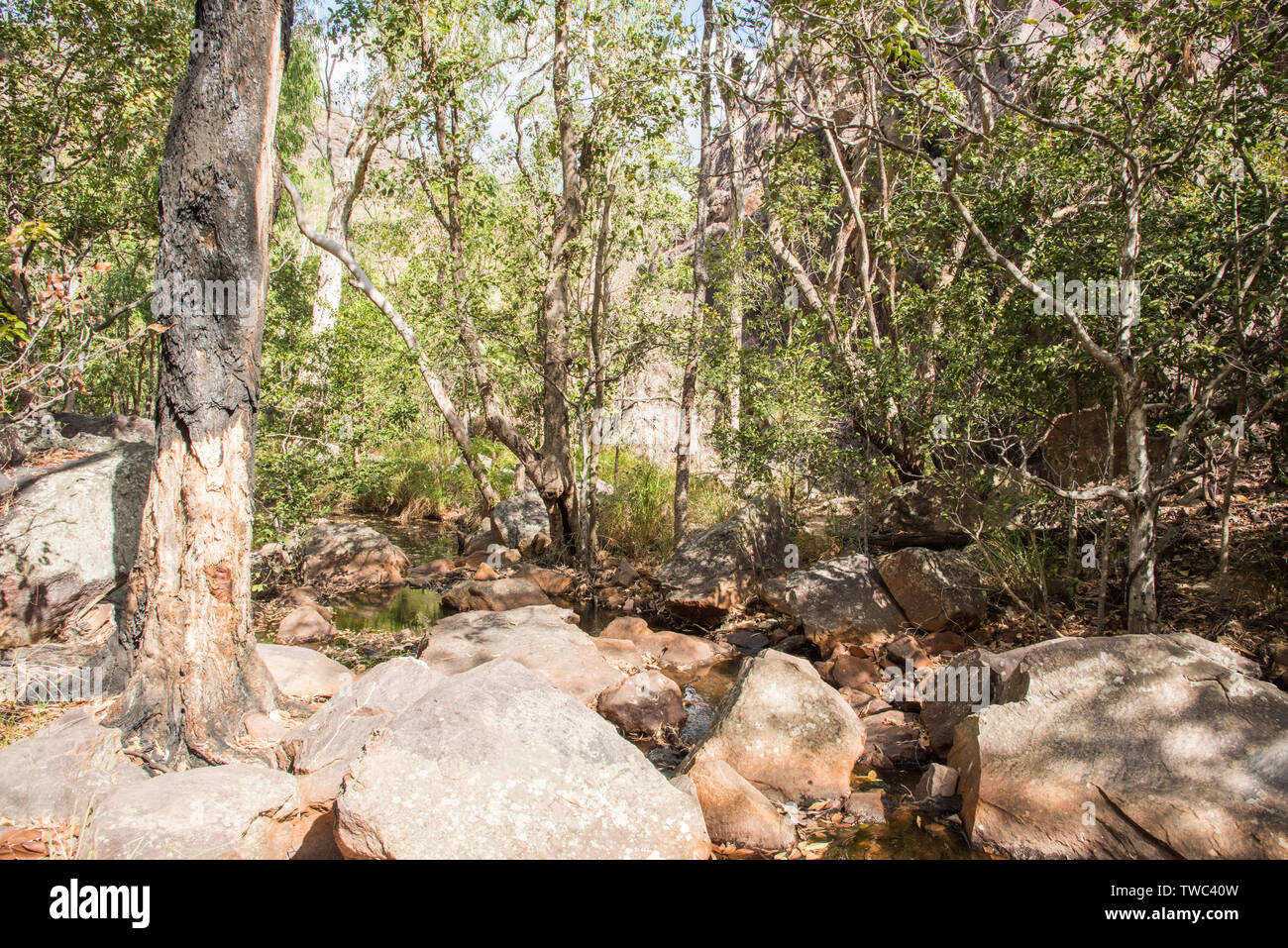 Rocky riverbed with native bushland on a sunny day in the Northern ...