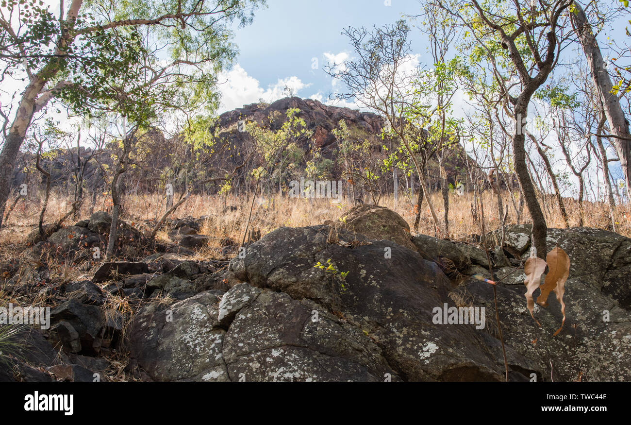 Semi arid terrain hi-res stock photography and images - Alamy