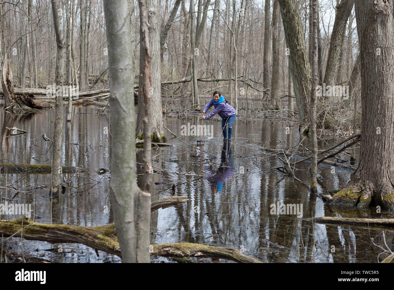 A teenage girl plays in the swampy wooded forest of the Mengerson ...