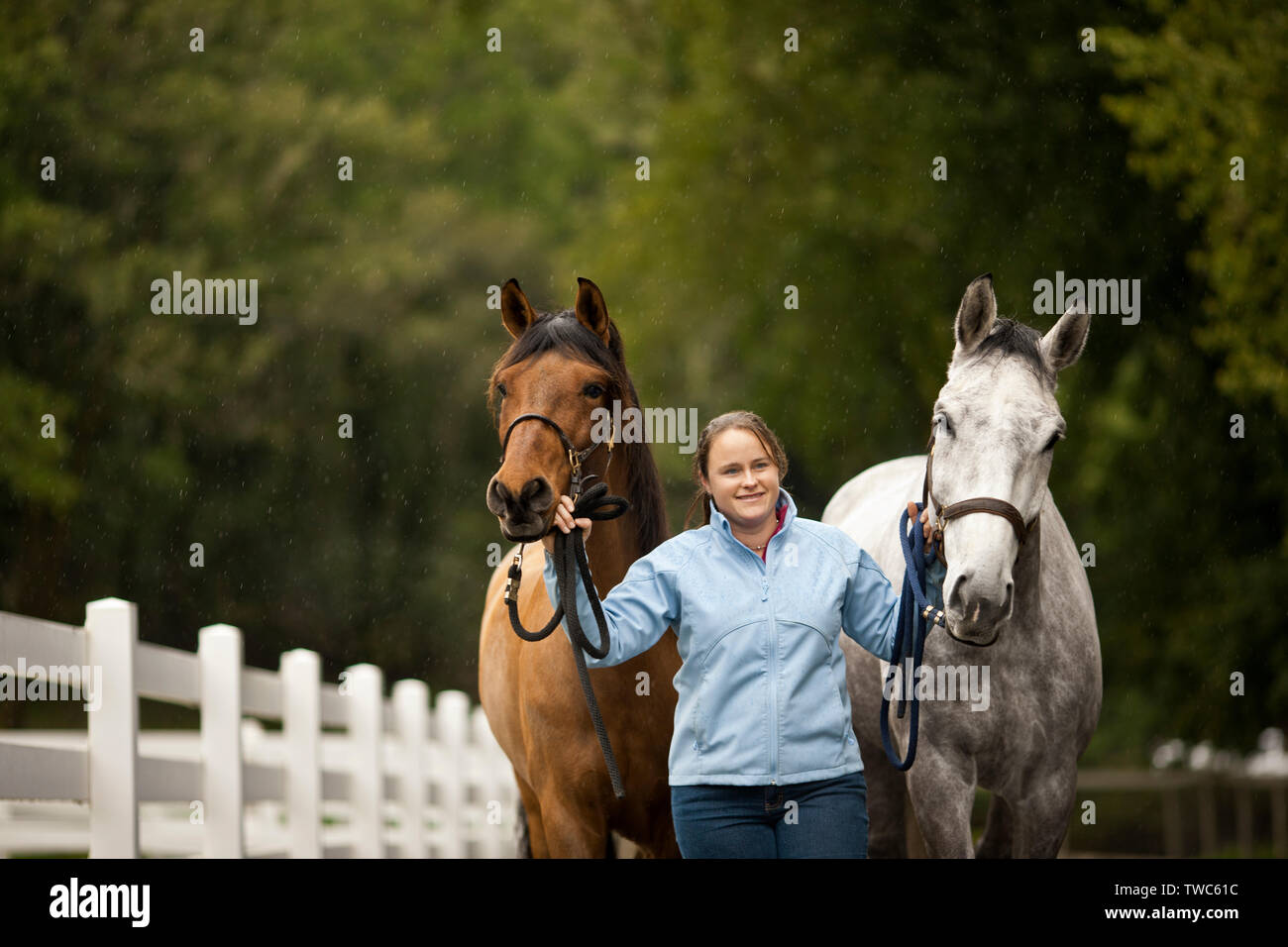 Young horse trainer exercising her horses Stock Photo - Alamy