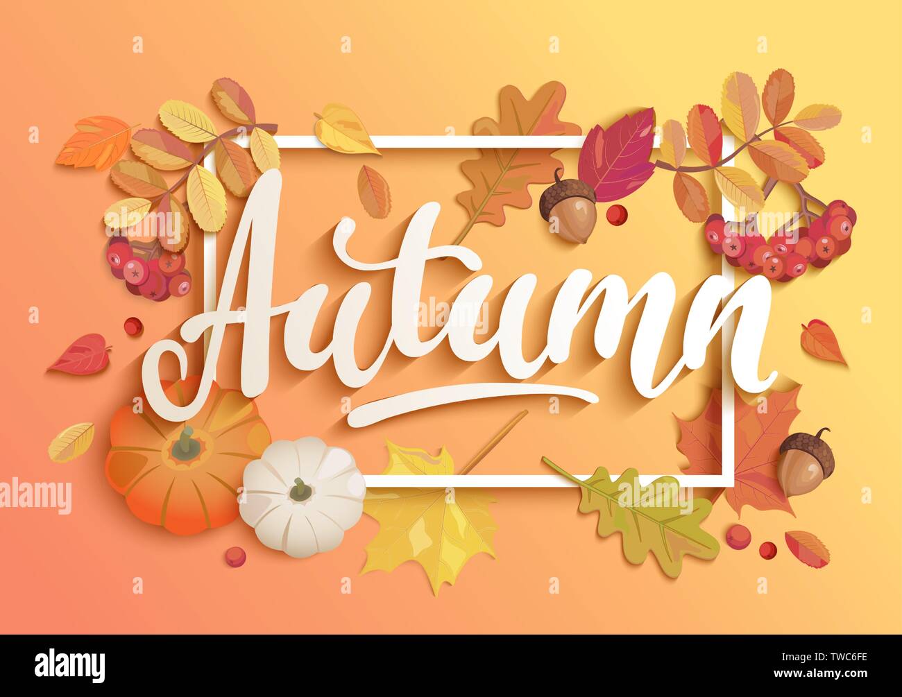 Autumn harvest festival vector hi-res stock photography and images - Alamy