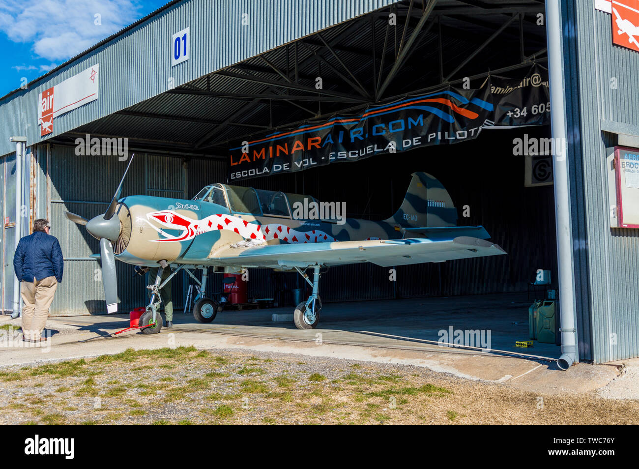 YAK 52 Aerobatic airplane landing take off Stock Photo - Alamy