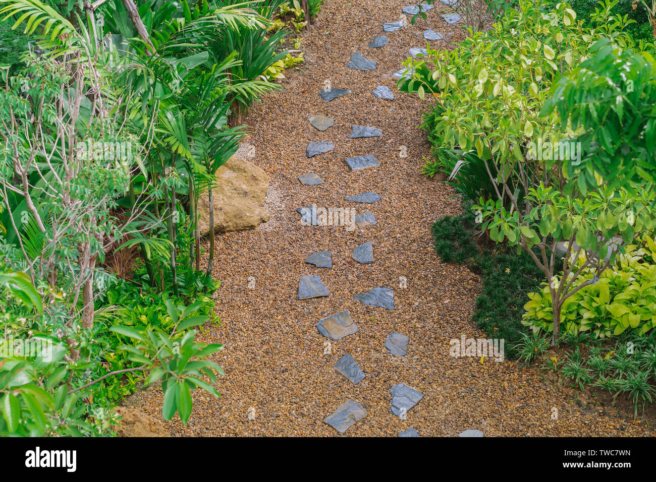 Top view of walkway in the garden and green shrub beside pathway.Garden ...