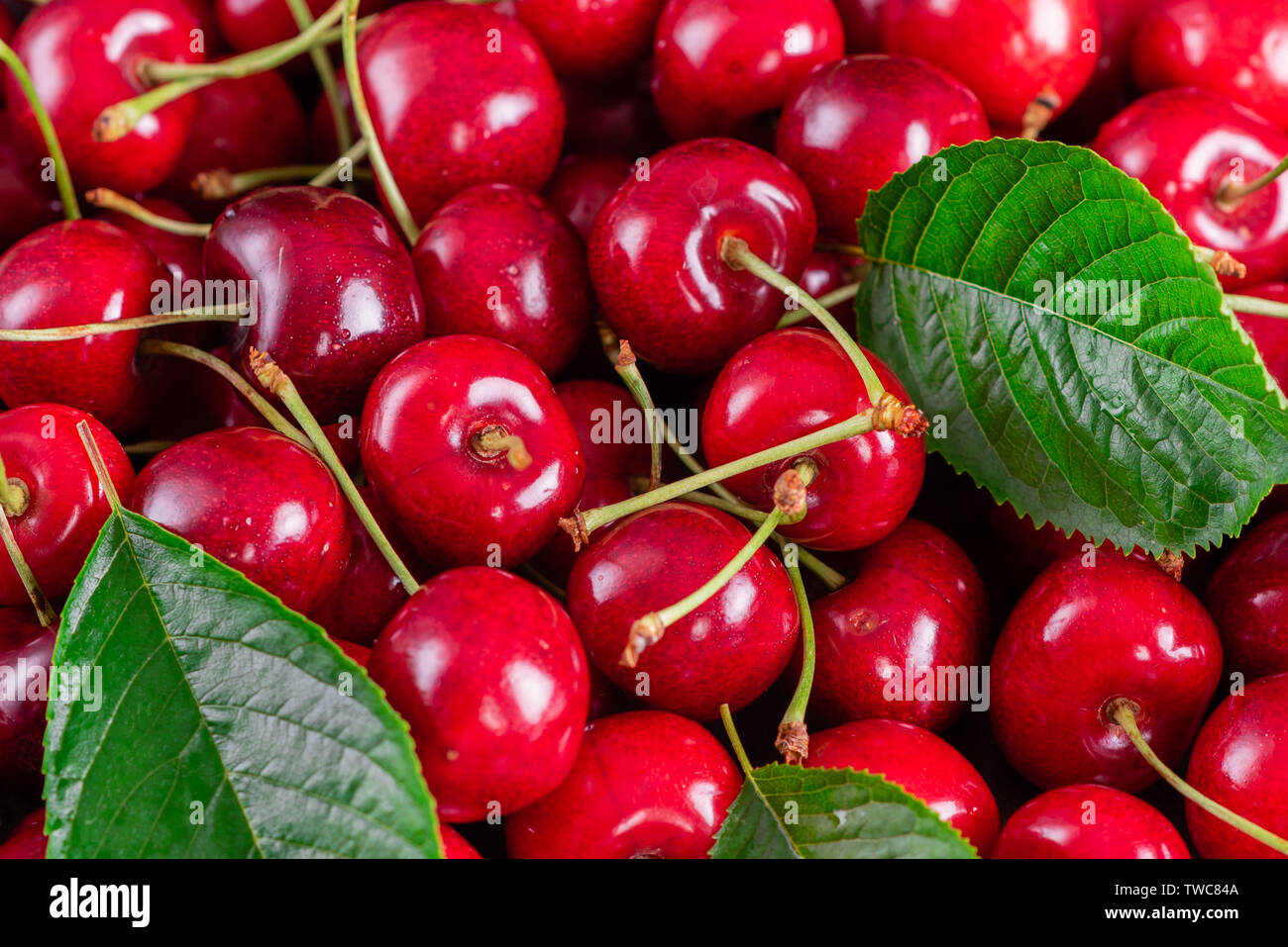 Sweet fresh organic cherry background close-up Stock Photo - Alamy