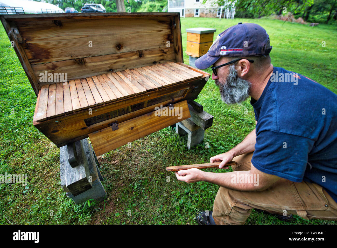 UNITED STATES - May 29, 2017: Kasey Clark and his wife Tonya Taylor, co ...