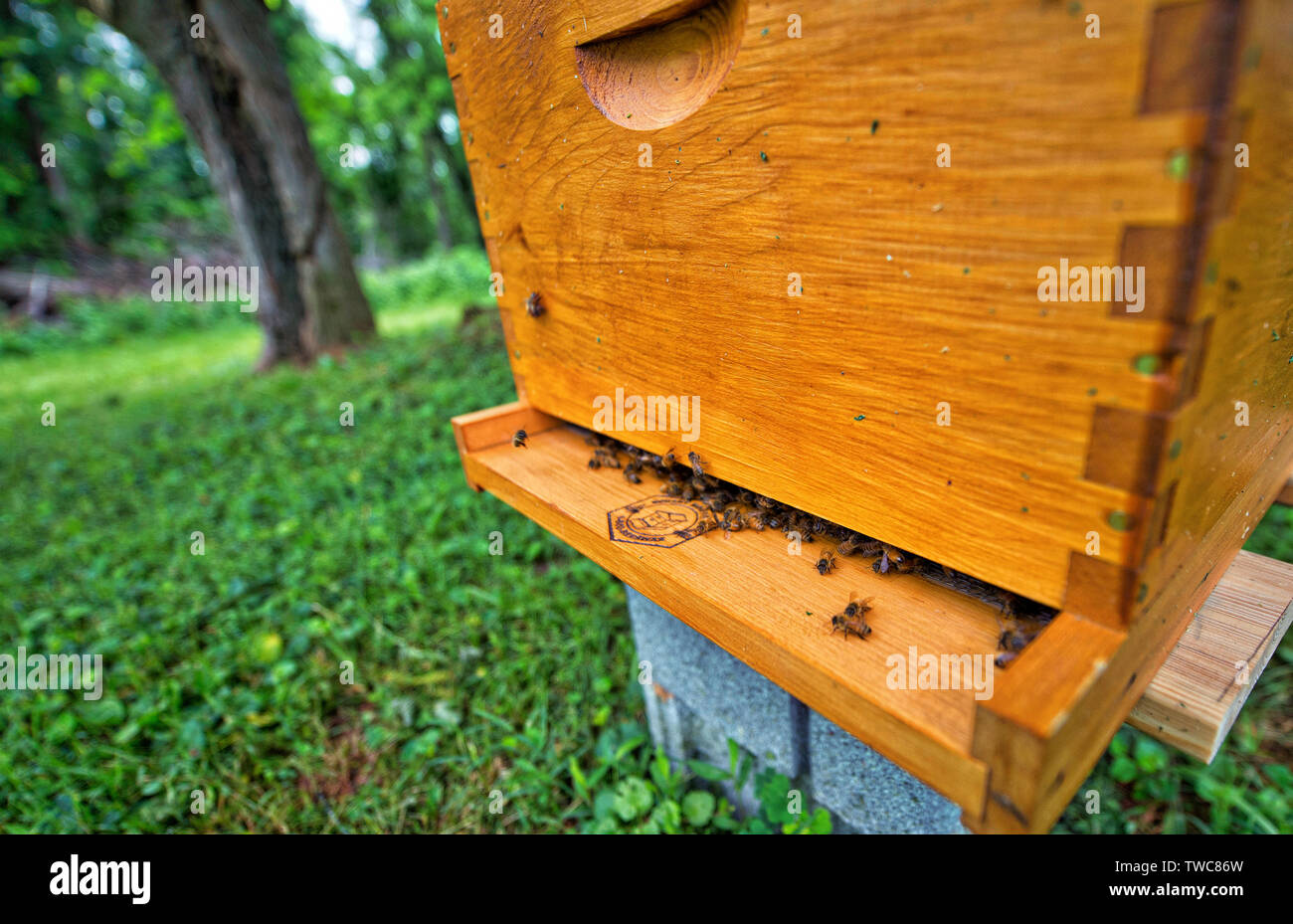 Kasey clark hi-res stock photography and images - Alamy