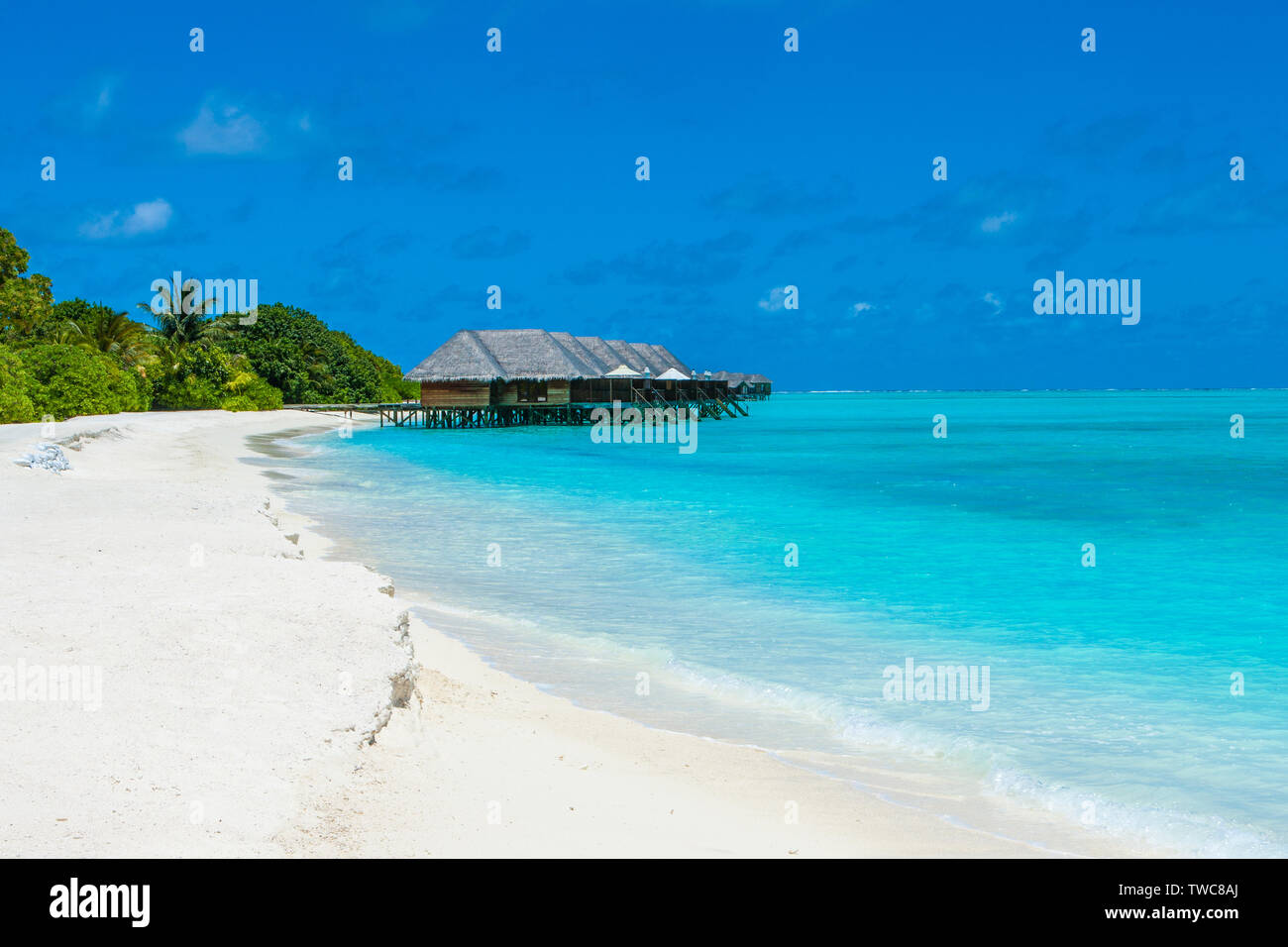 The beautiful landscape of the deserted Indian Ocean sandy beach ...