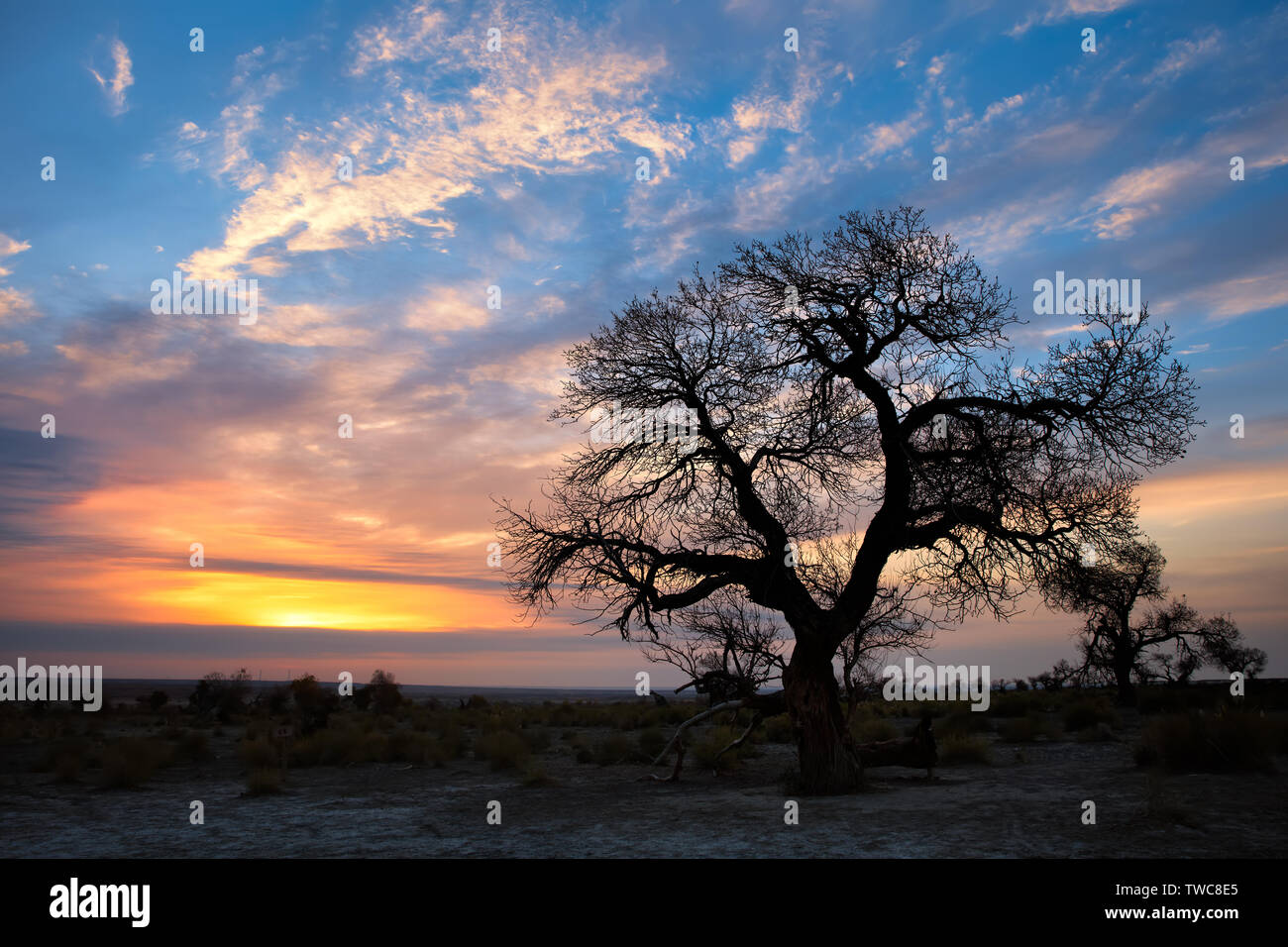 Yang guan hi-res stock photography and images - Alamy
