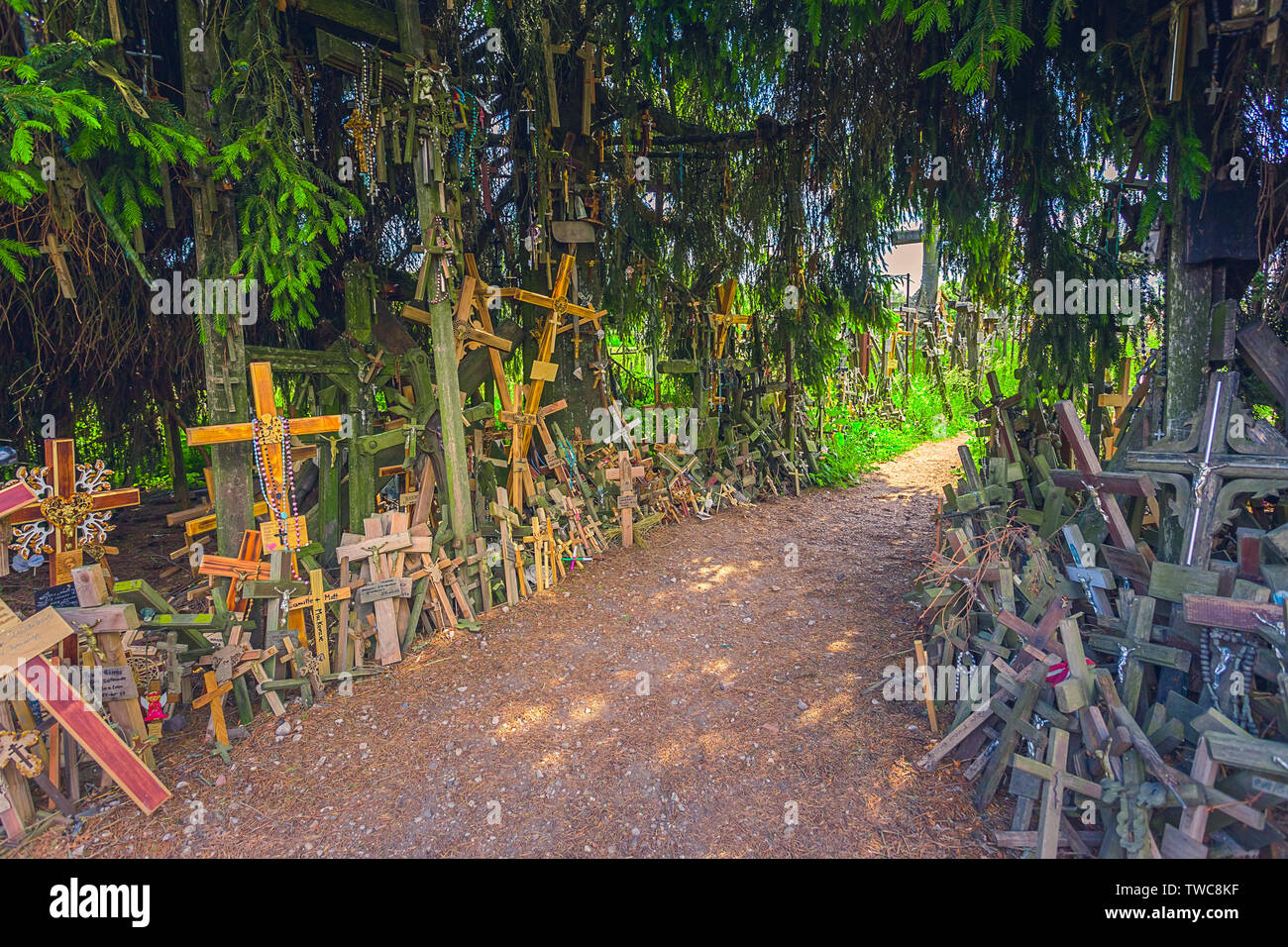 Landscape of Hill of crosses, Kryziu kalnas, Lithuania Stock Photo - Alamy
