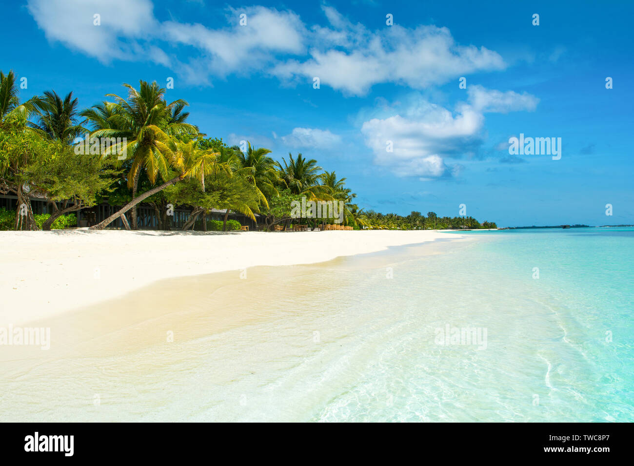 The beautiful landscape of the deserted Indian Ocean sandy beach ...
