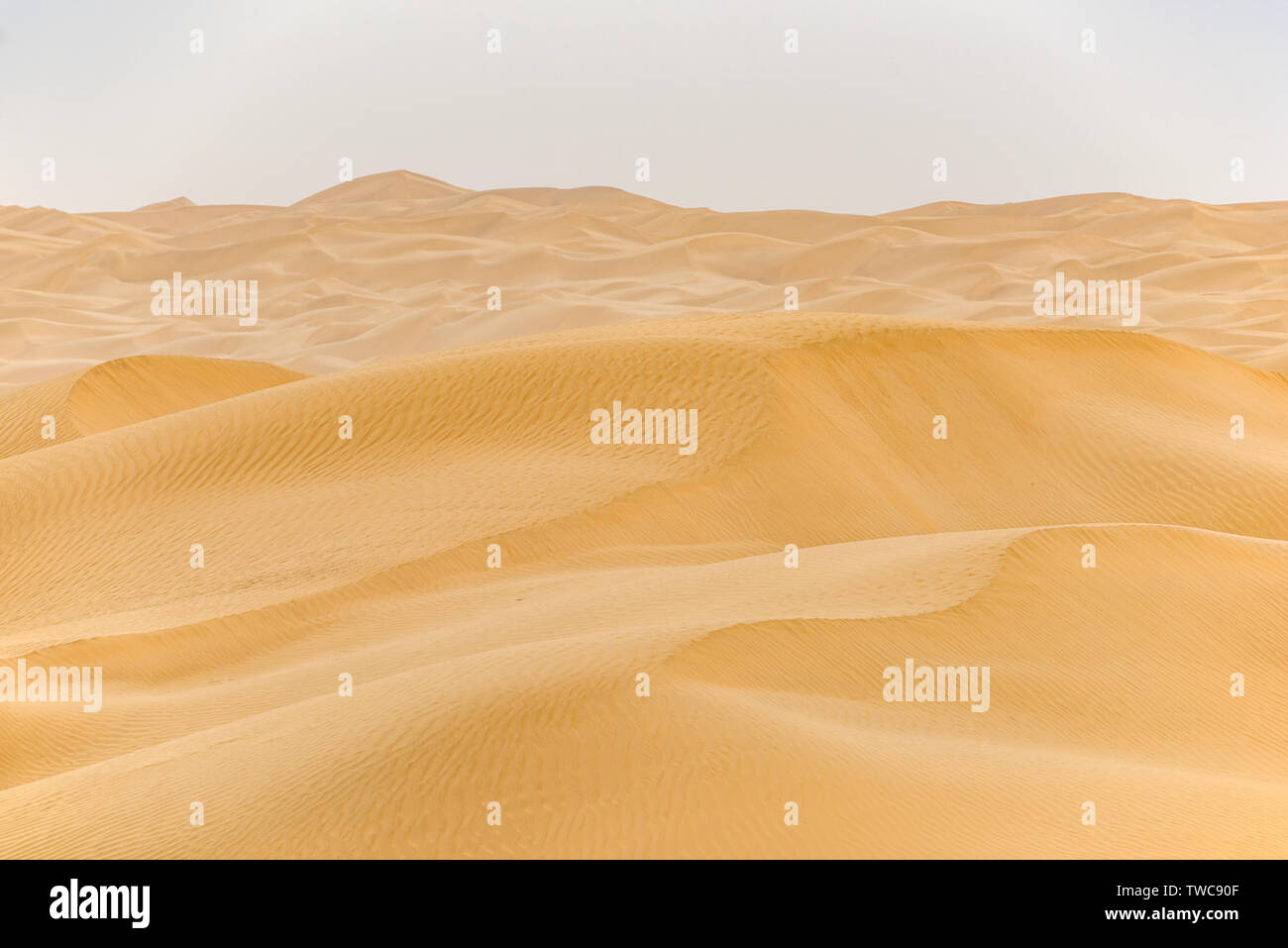Desert in western china hi-res stock photography and images - Alamy