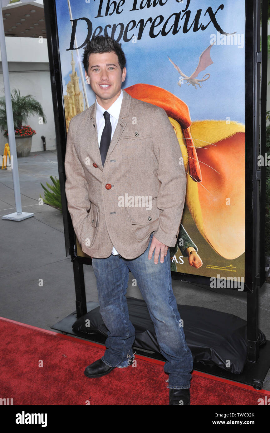 LOS ANGELES, CA. December 07, 2008: Brandon Michael Vayda at the world ...