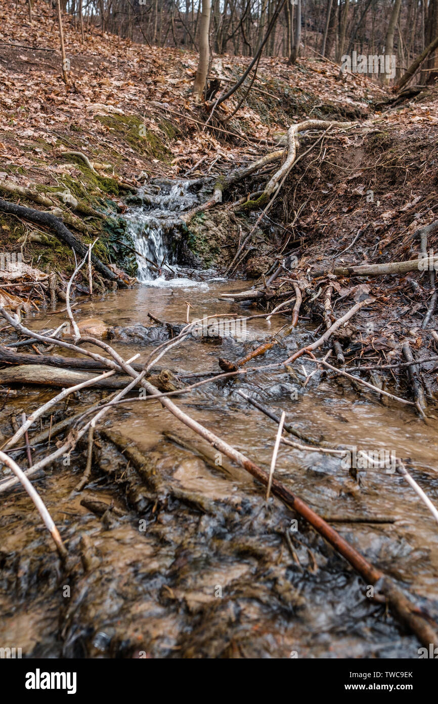 A small waterfall in a natural creek area , running rapid with spring ...