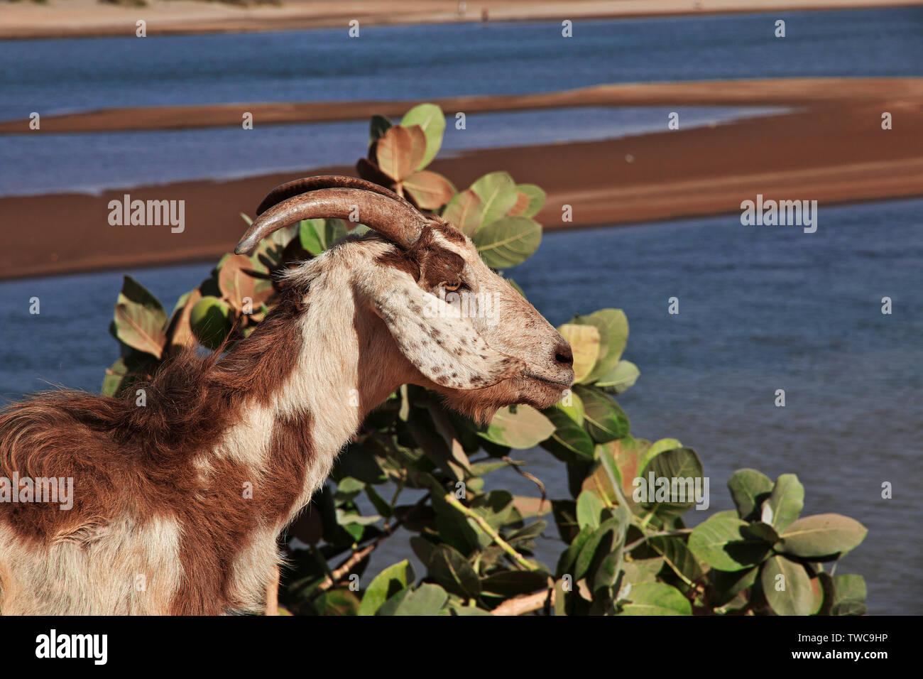 Confluence of the White Nile and Blue Nile rivers in Khartoum, Sudan ...