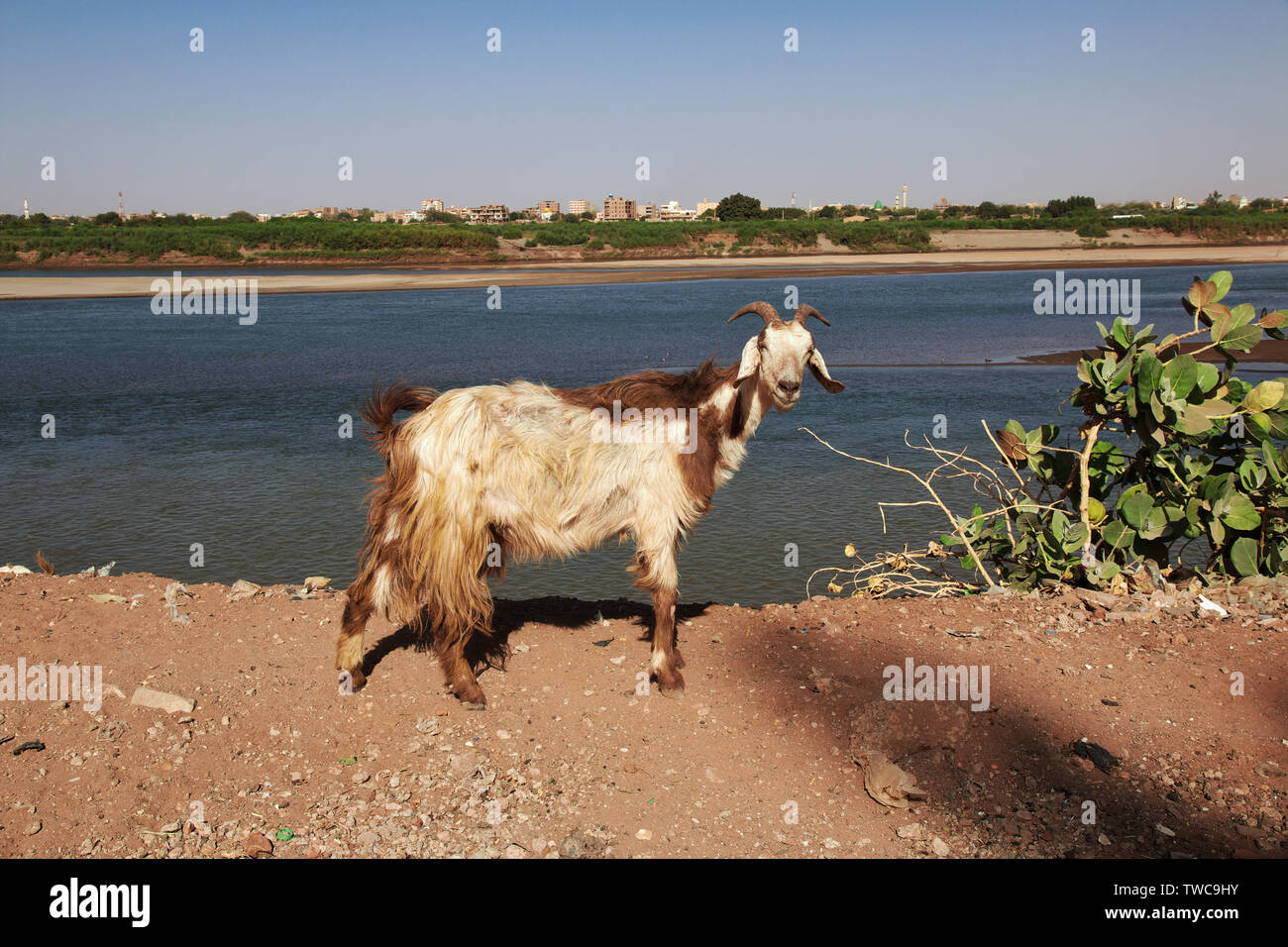 Confluence of the White Nile and Blue Nile rivers in Khartoum, Sudan ...