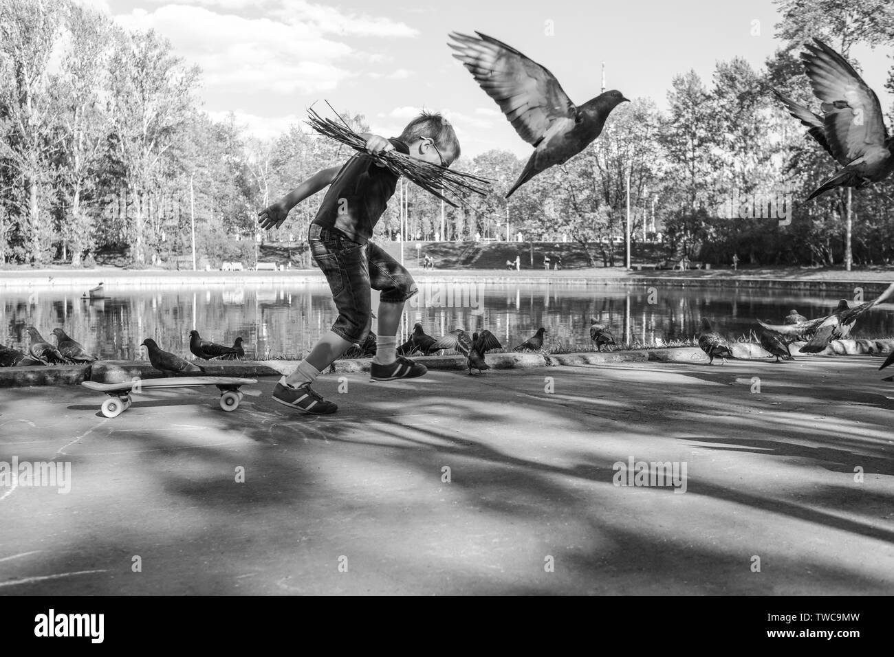 A boy running through a flock of pigeons. Pigeon take off in fright ...