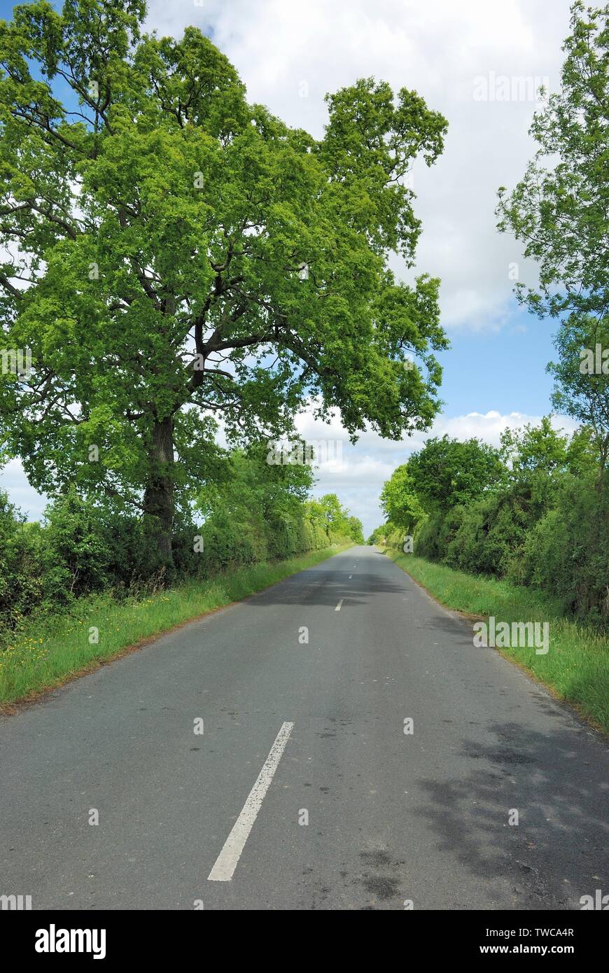 Road at spring Stock Photo - Alamy
