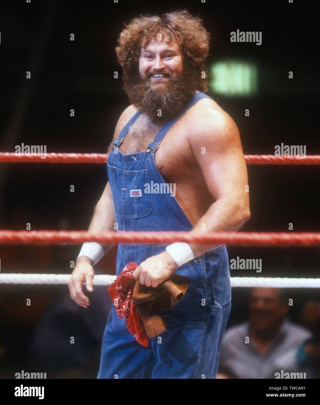 Hillbilly Jim 1987Photo By John Barrett/PHOTOlink/MediaPunch Stock ...