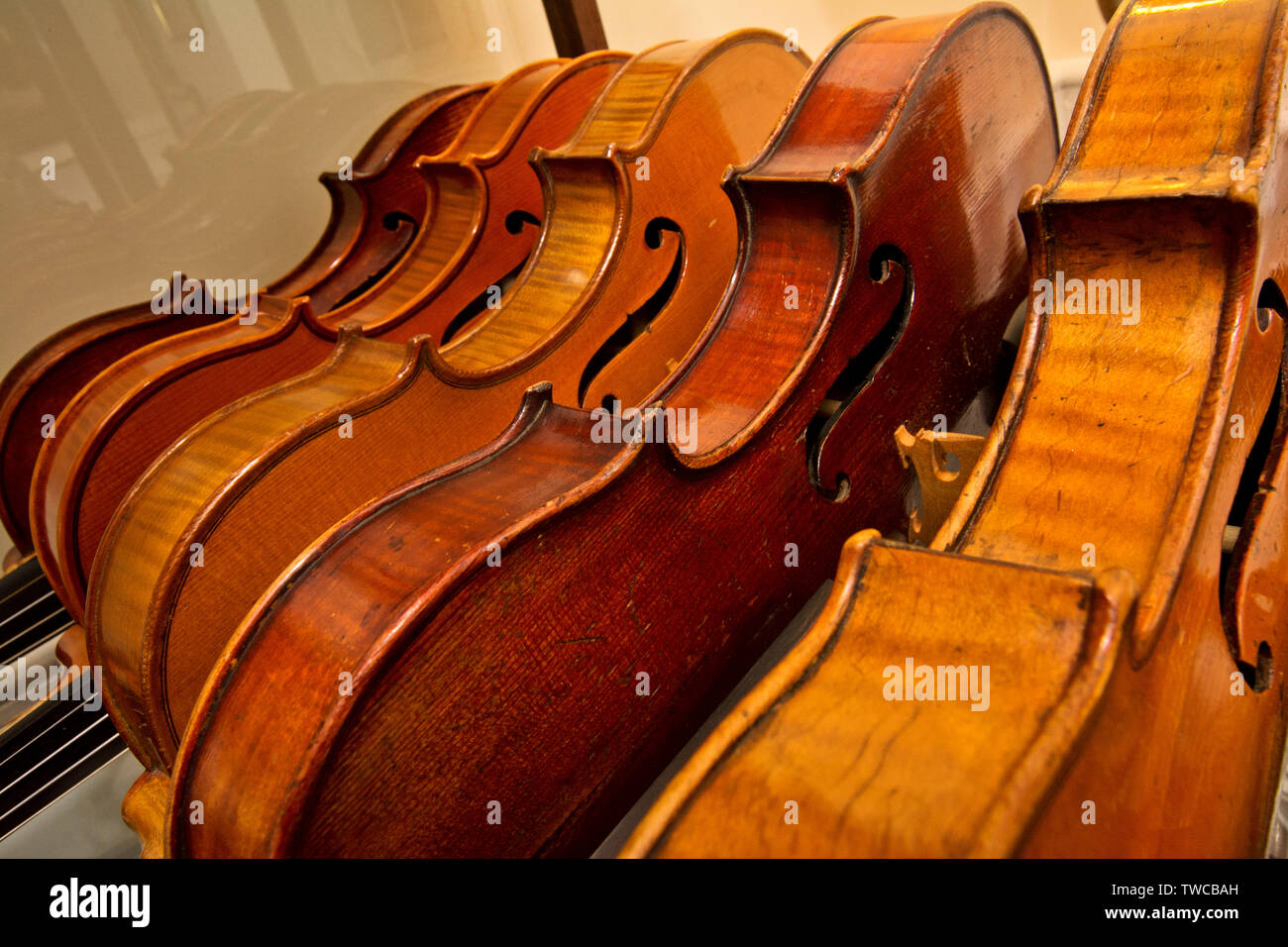 Group of Violins string musical handcrafted instruments together Stock ...