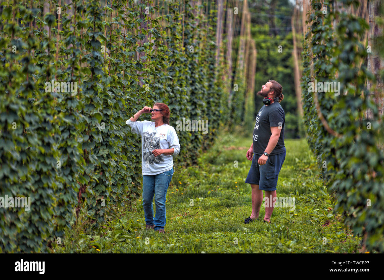 Marilla hi-res stock photography and images - Alamy