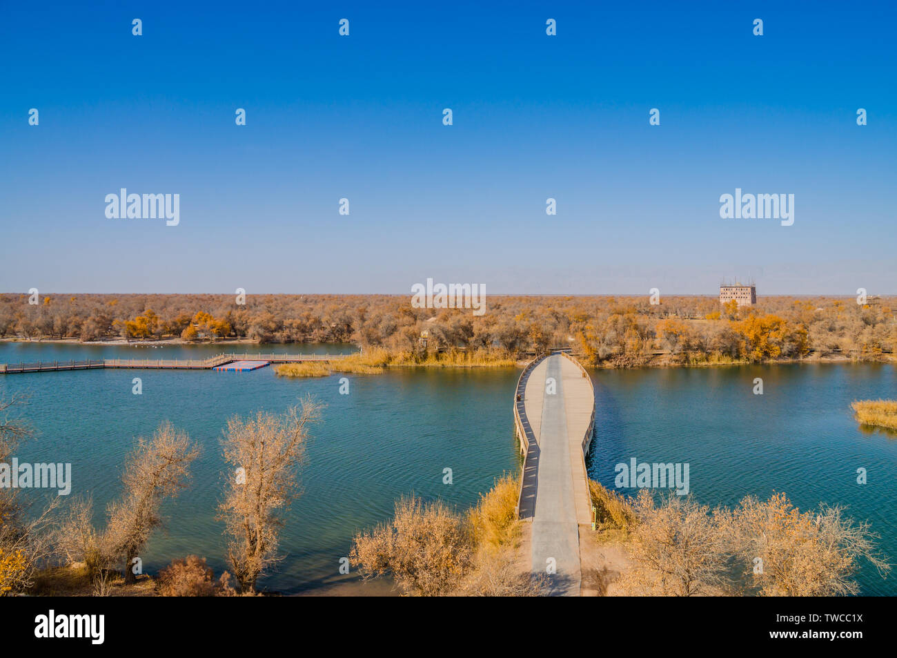 Poplar Lin, lake, reflection, beautiful scenery Stock Photo - Alamy