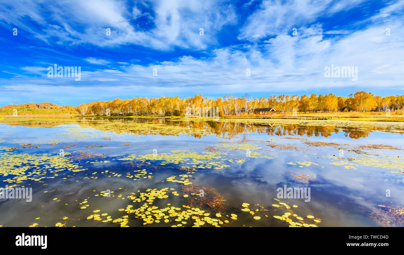 Imperial dam river hi-res stock photography and images - Alamy