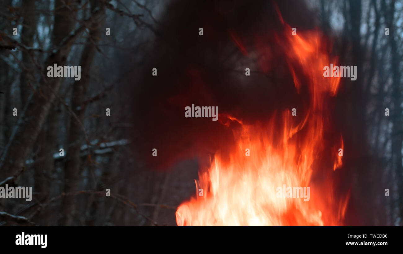 Fire flames forest close-up Stock Photo - Alamy
