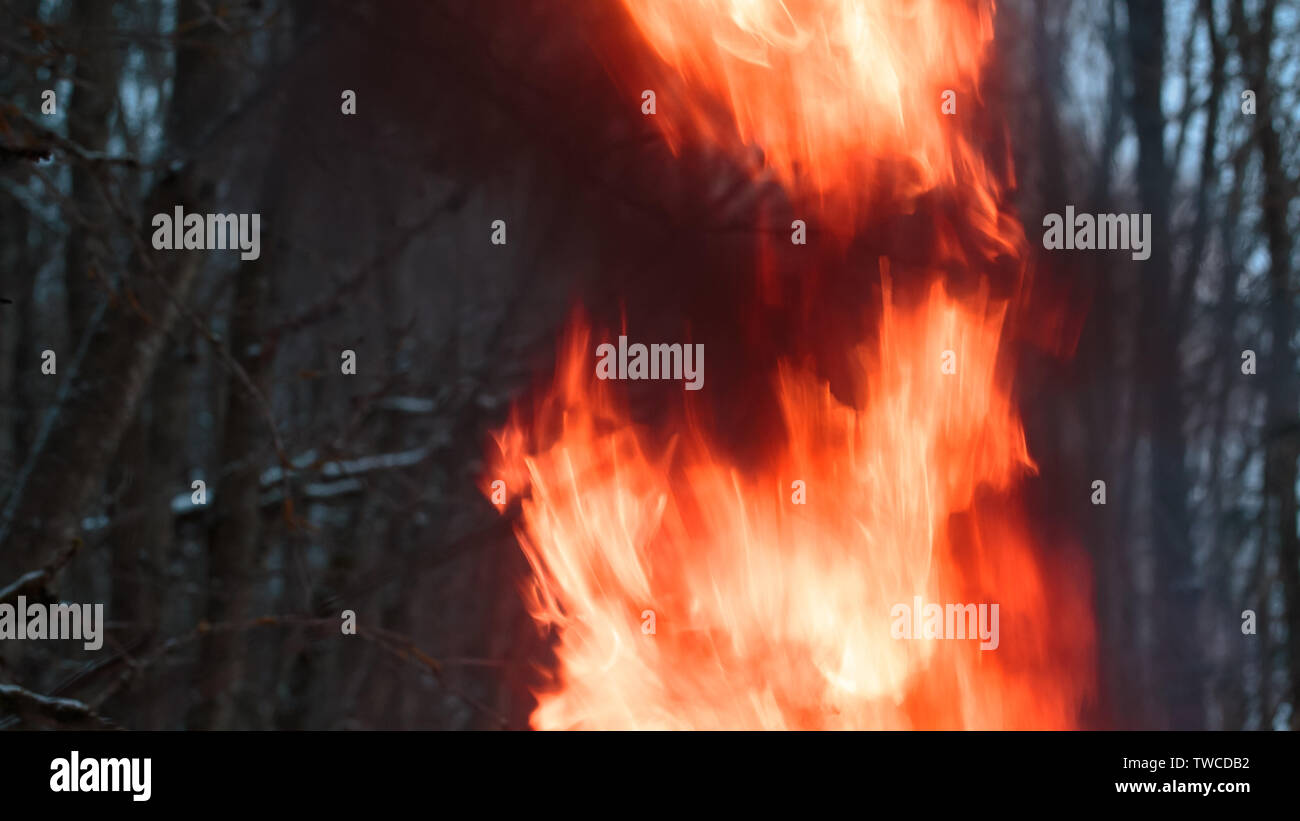 Fire flames forest close-up Stock Photo - Alamy