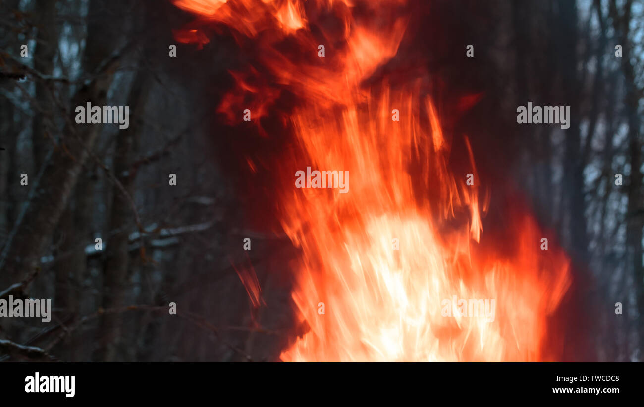 Fire flames forest close-up Stock Photo - Alamy