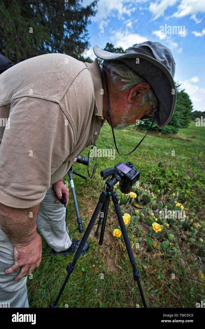 UNITED STATES - June 13, 2017: Macro Photography: A Bug’s Eye View ...