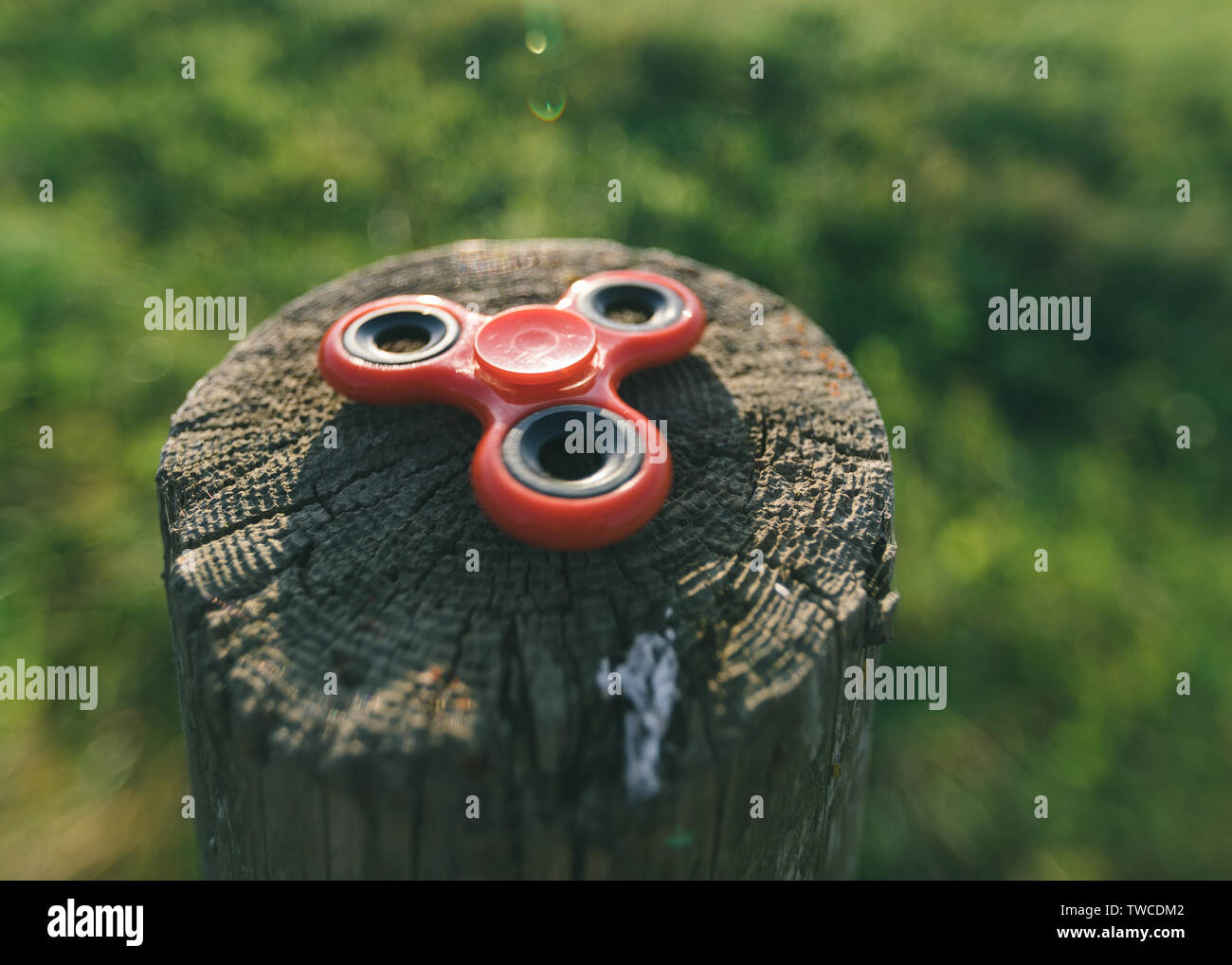red spinner on a close-up stump. Horizontal summer shot Stock Photo - Alamy