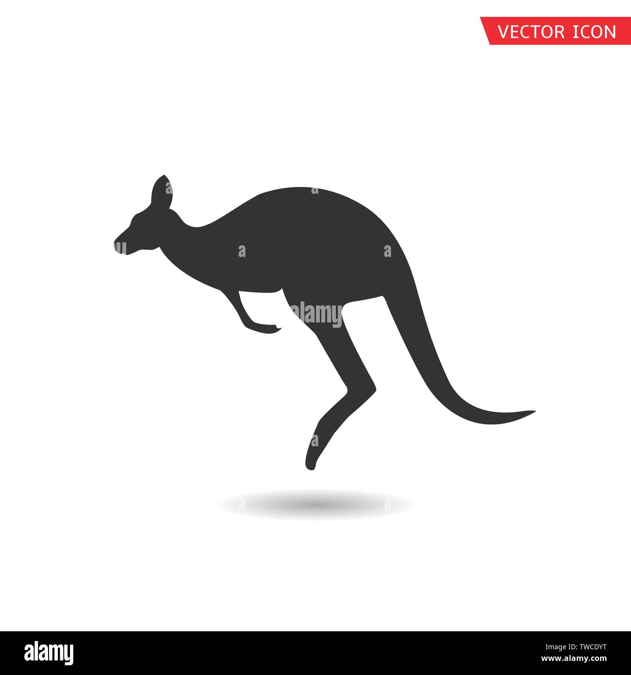 Kangaroo icon isolated over white background. Vector illustration Stock ...