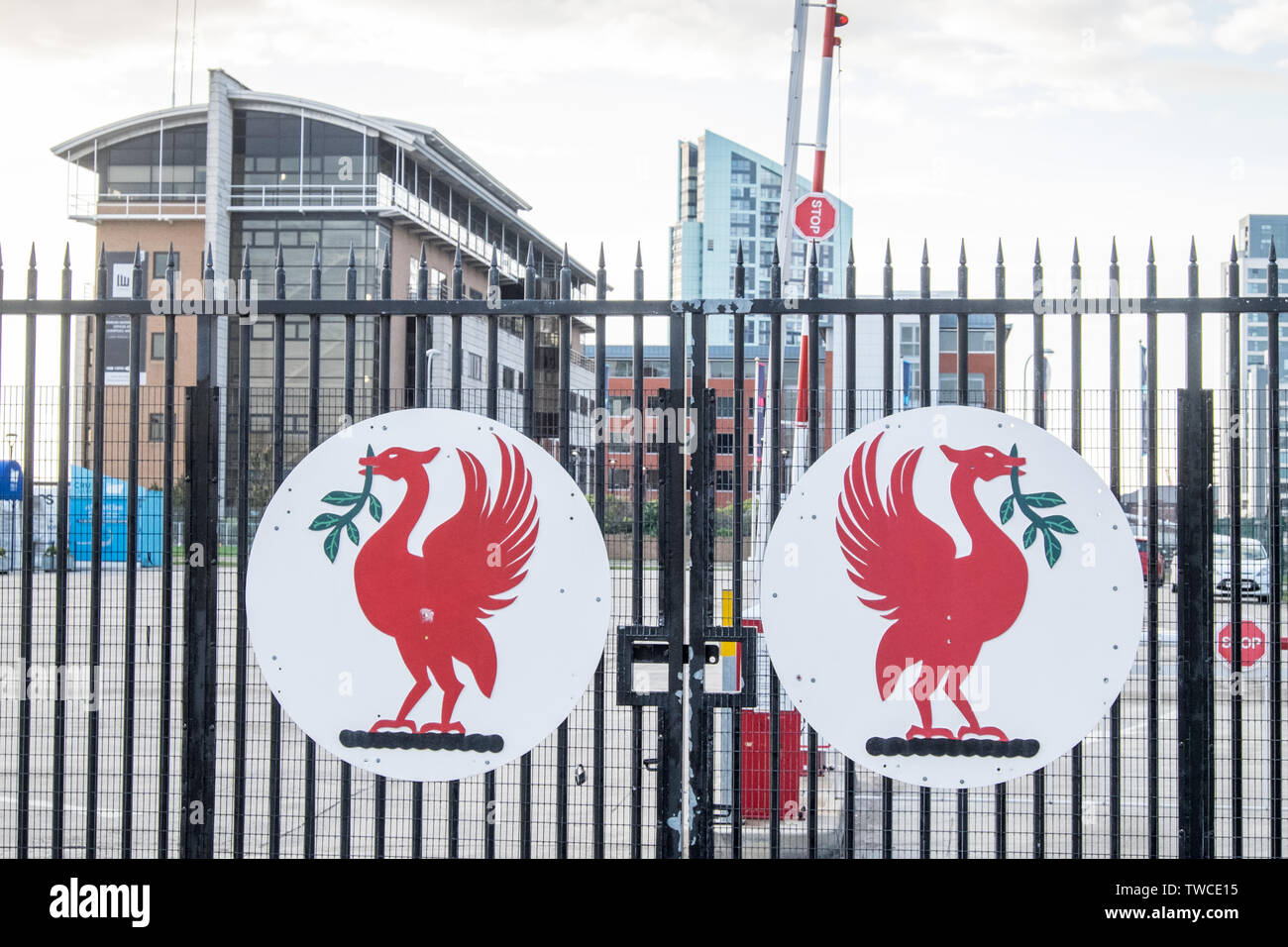 Liver birds hi-res stock photography and images - Alamy