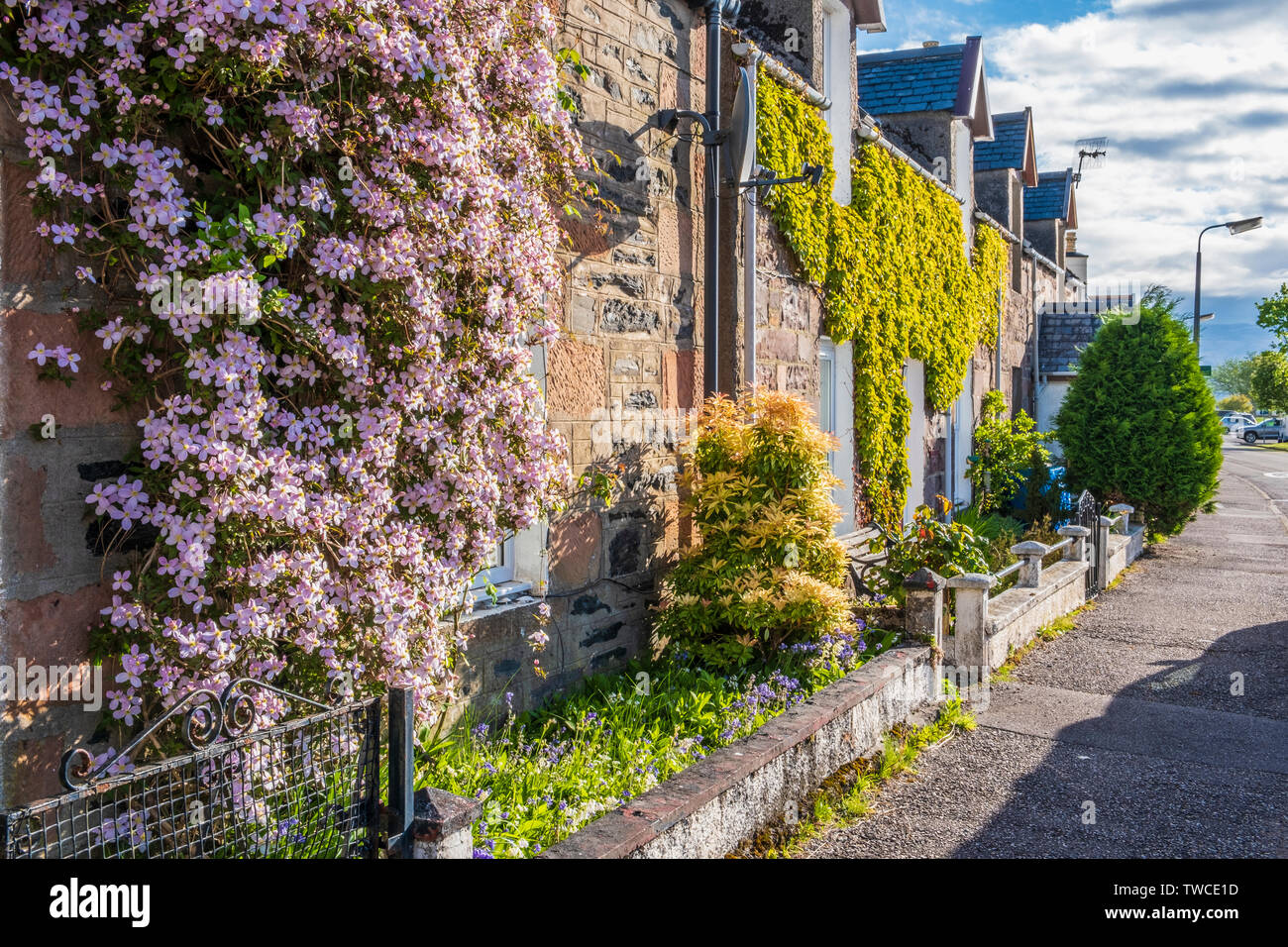 Sandstone houses covered in creeper plants close to the footpath on the ...