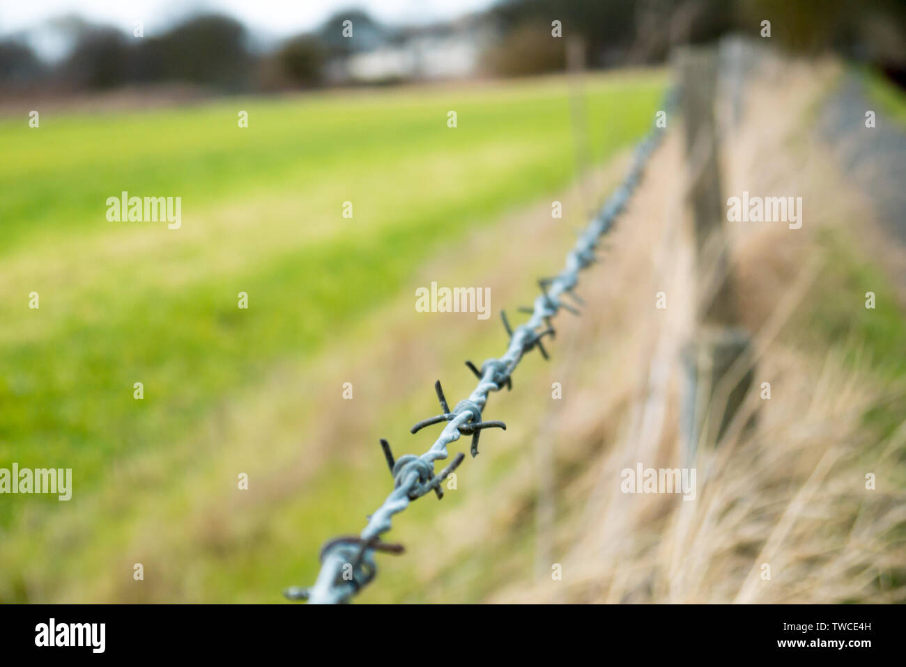 Dangerous Barbed Wire Fence Lining a Countryside Pathway Stock Photo ...
