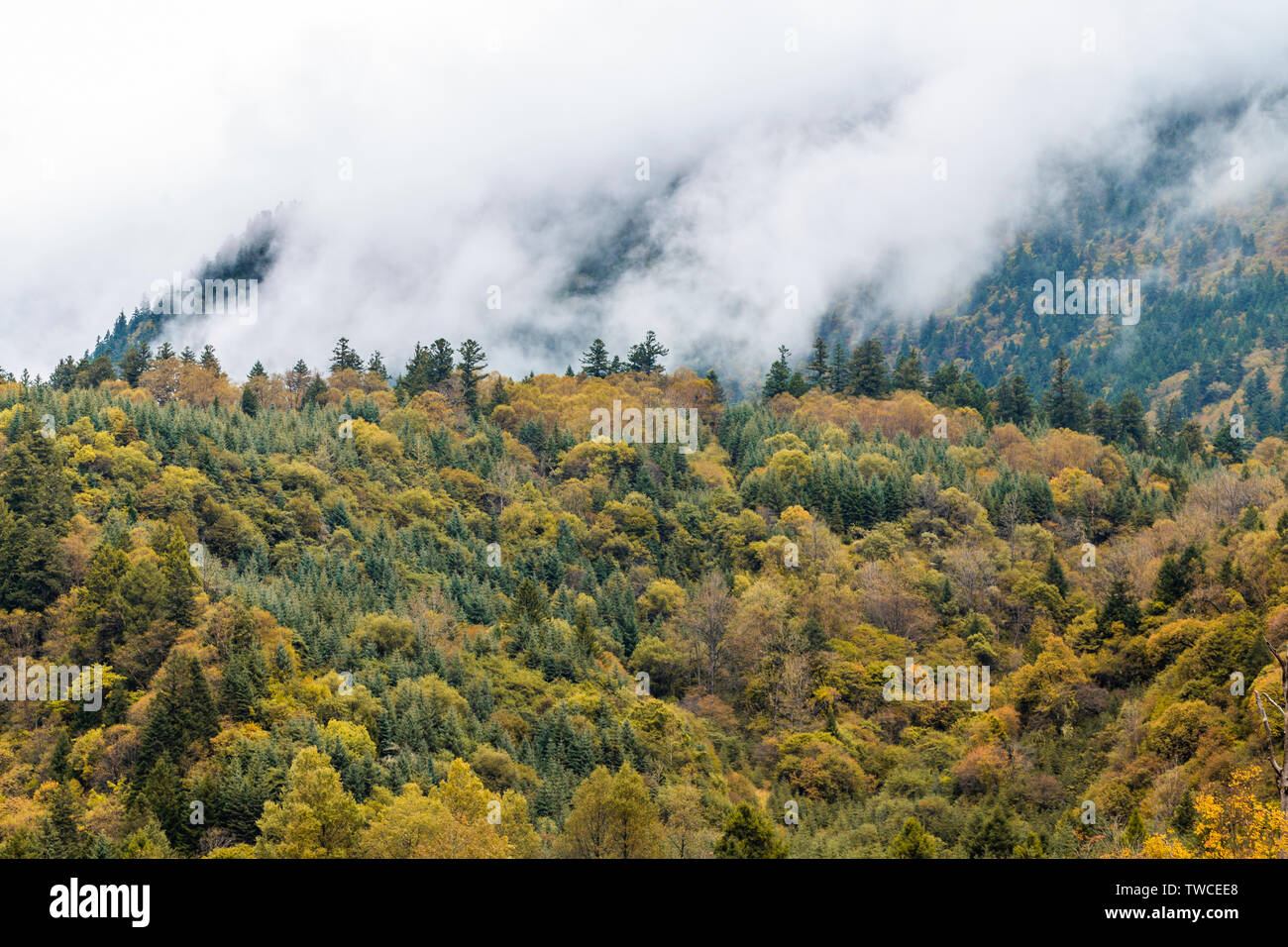 Autumn scenic spots Stock Photo - Alamy