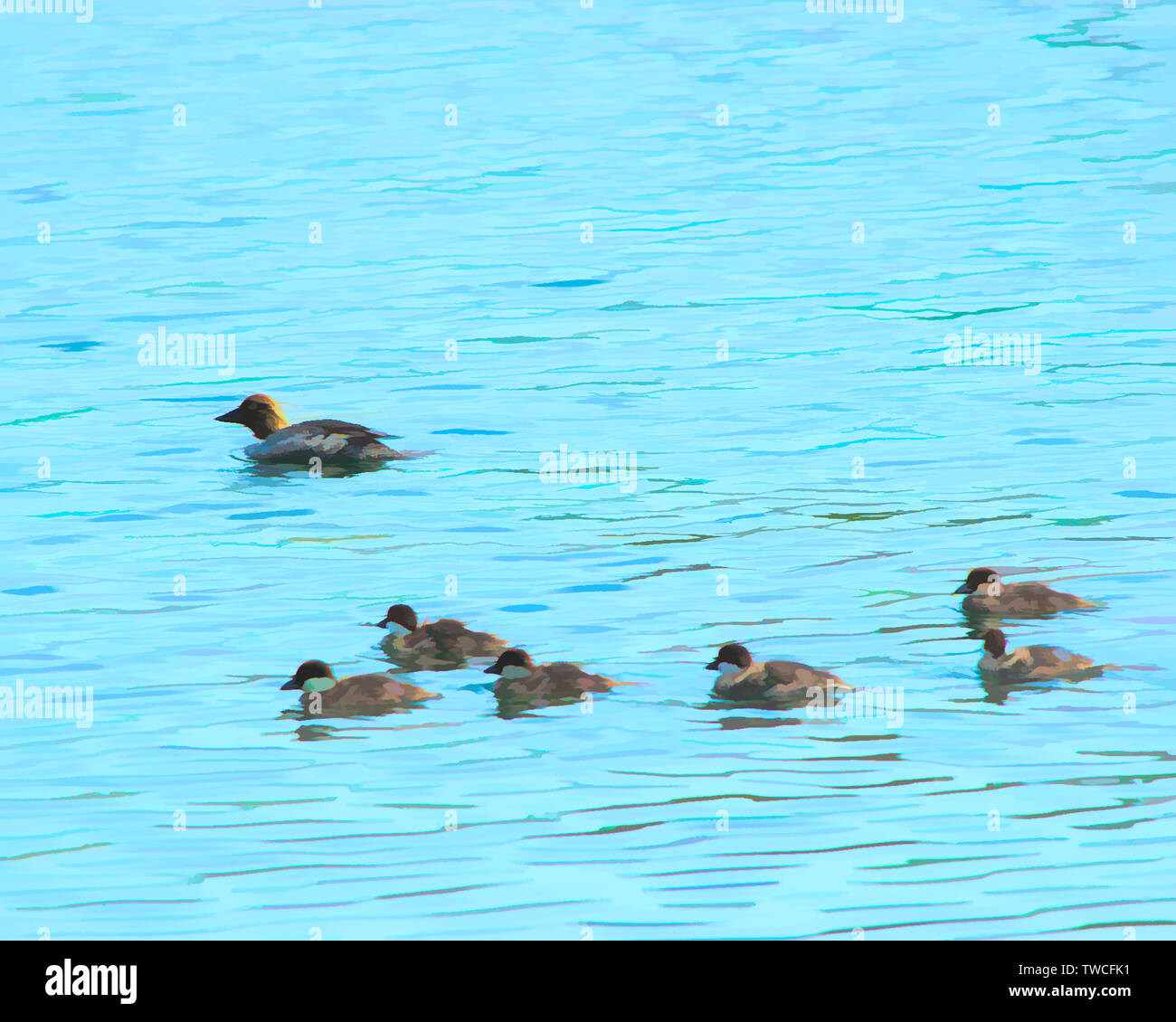 Crazy duck hi-res stock photography and images - Alamy