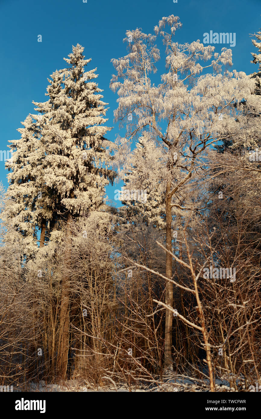 Sunny clear vertical hi-res stock photography and images - Alamy