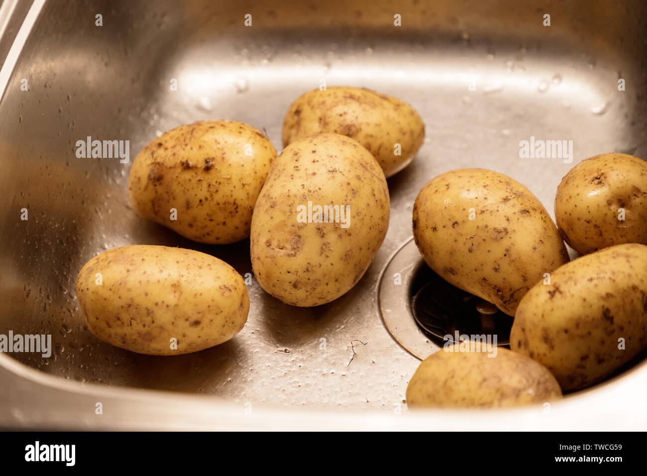 Potato counter hi-res stock photography and images - Alamy