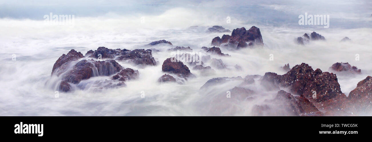 A group of pictures of the soul of the sea Stock Photo - Alamy