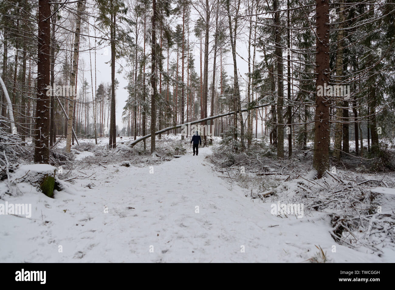 Man walks alone through snowy hi-res stock photography and images - Alamy