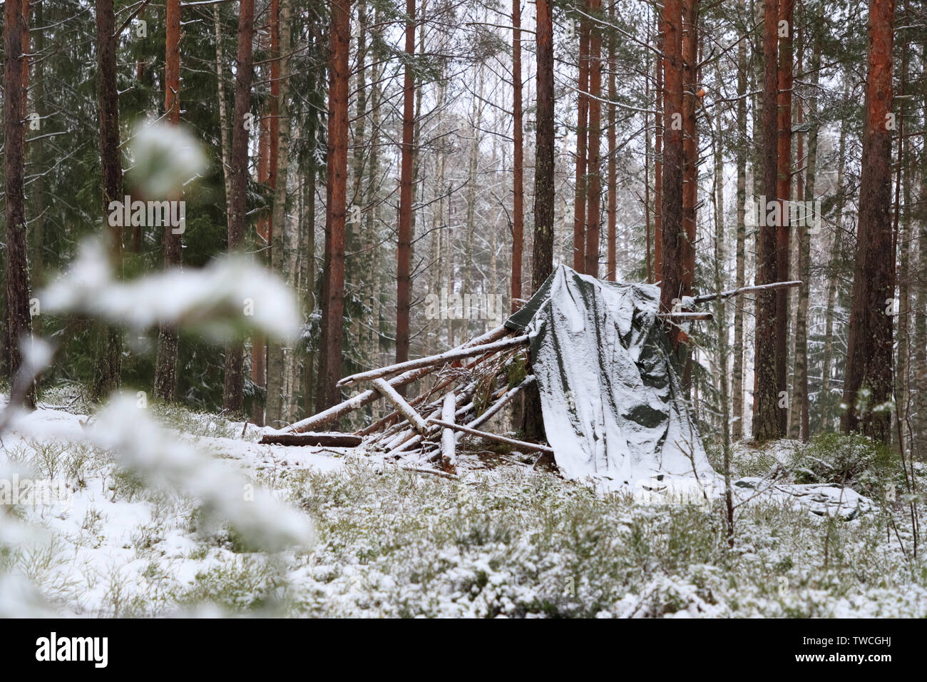 Ruined hut hi-res stock photography and images - Alamy