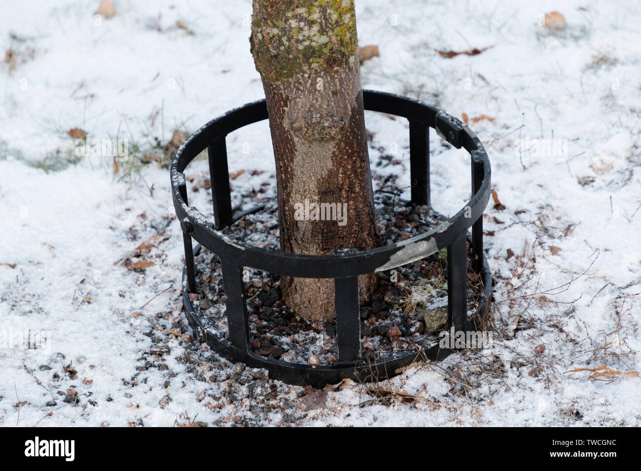 Tree trunk fence hi-res stock photography and images - Alamy