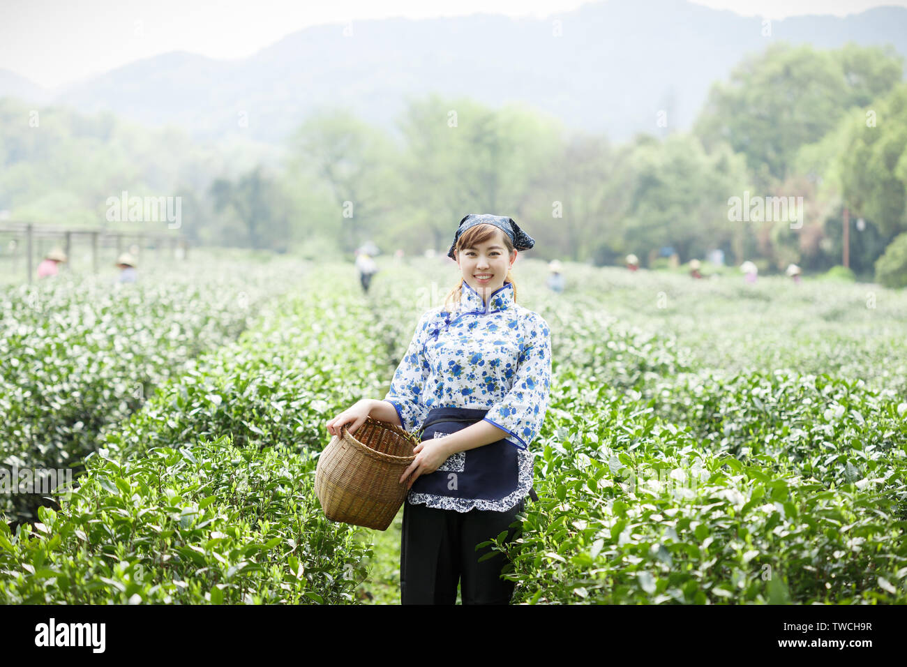 Asian pretty tea - amazing girl in photography Stock Photo - Alamy